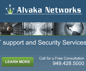 What the heck *&@ did you say about custom software development? - Alvaka